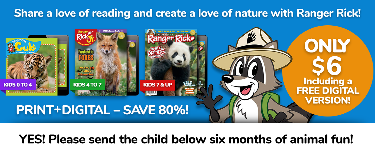 Sign up for $6.00 Print and Digital Subscription Offer